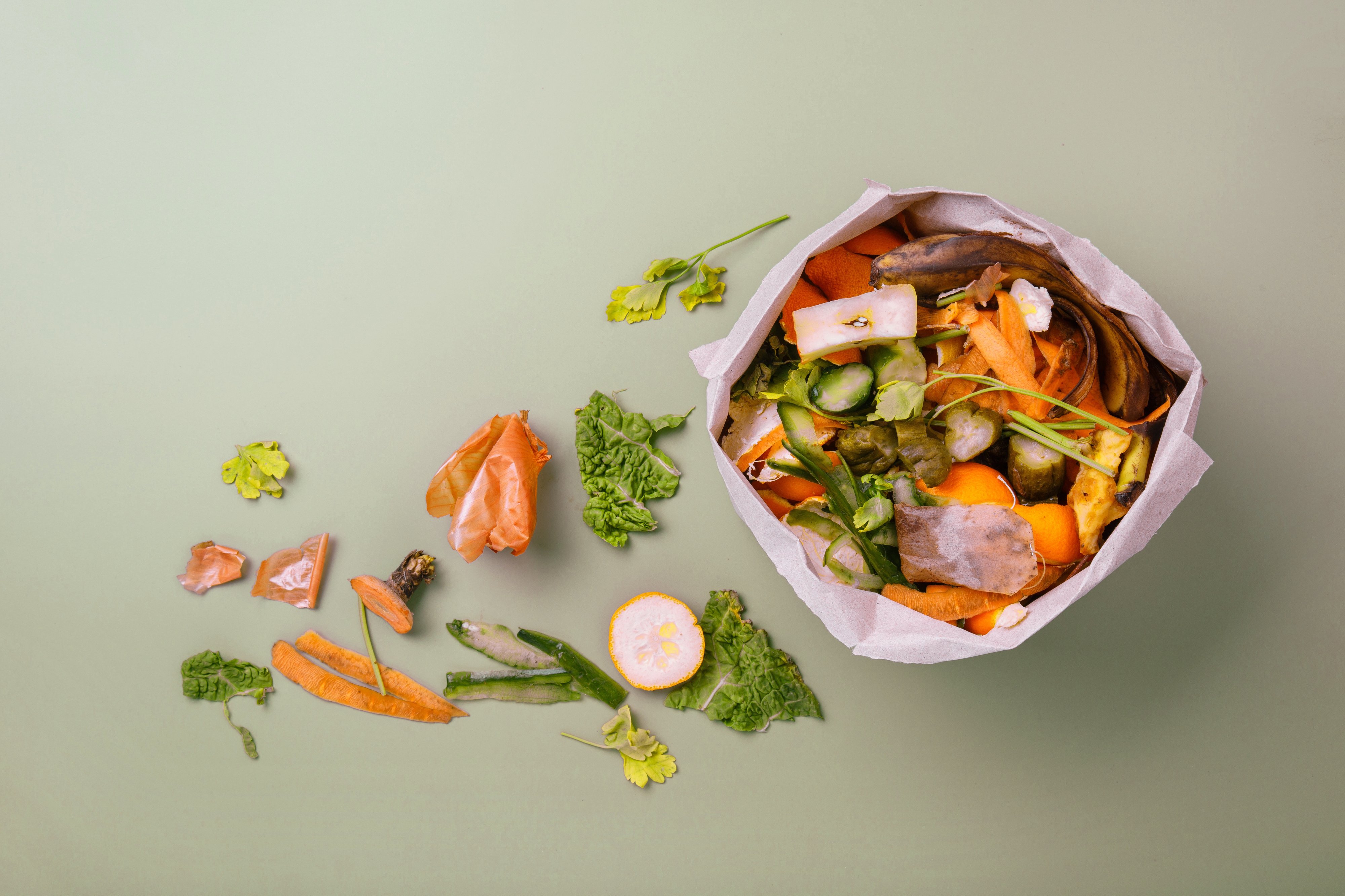 Die besten Tipps gegen Lebensmittelverschwendung auf einen Blick